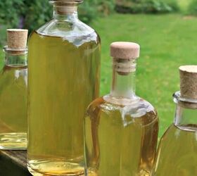 Beech Leaf Noyau: How to Make Delicious Beech Leaf Gin | Foodtalk
